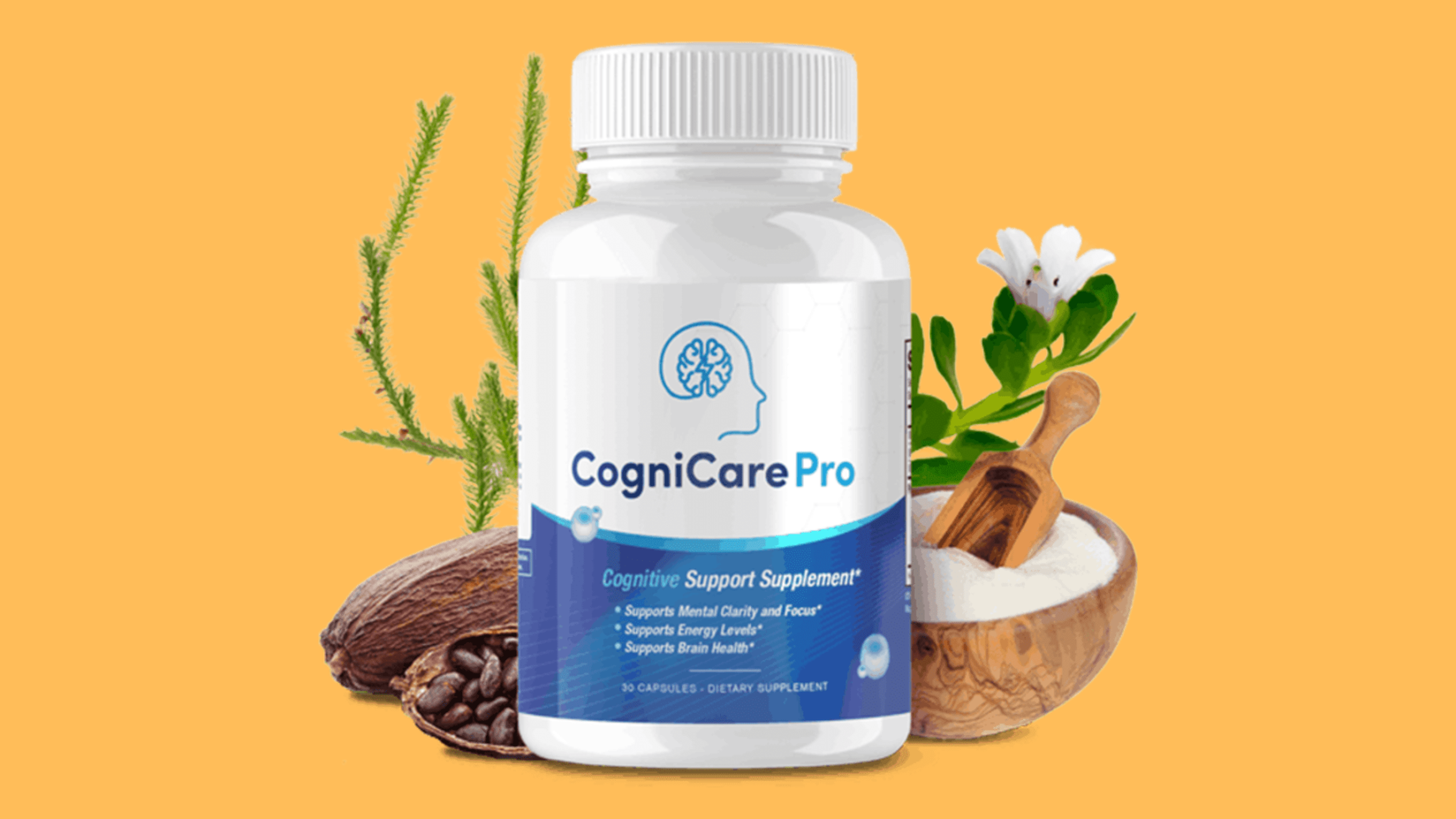 CogniCare Pro Reviews [2026 Update]: Is It A Big Scam Or Legit ...